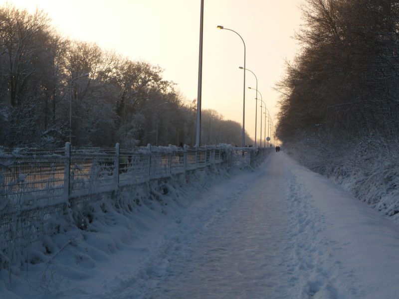 La route nationale 118 | Site Horizon Employeur